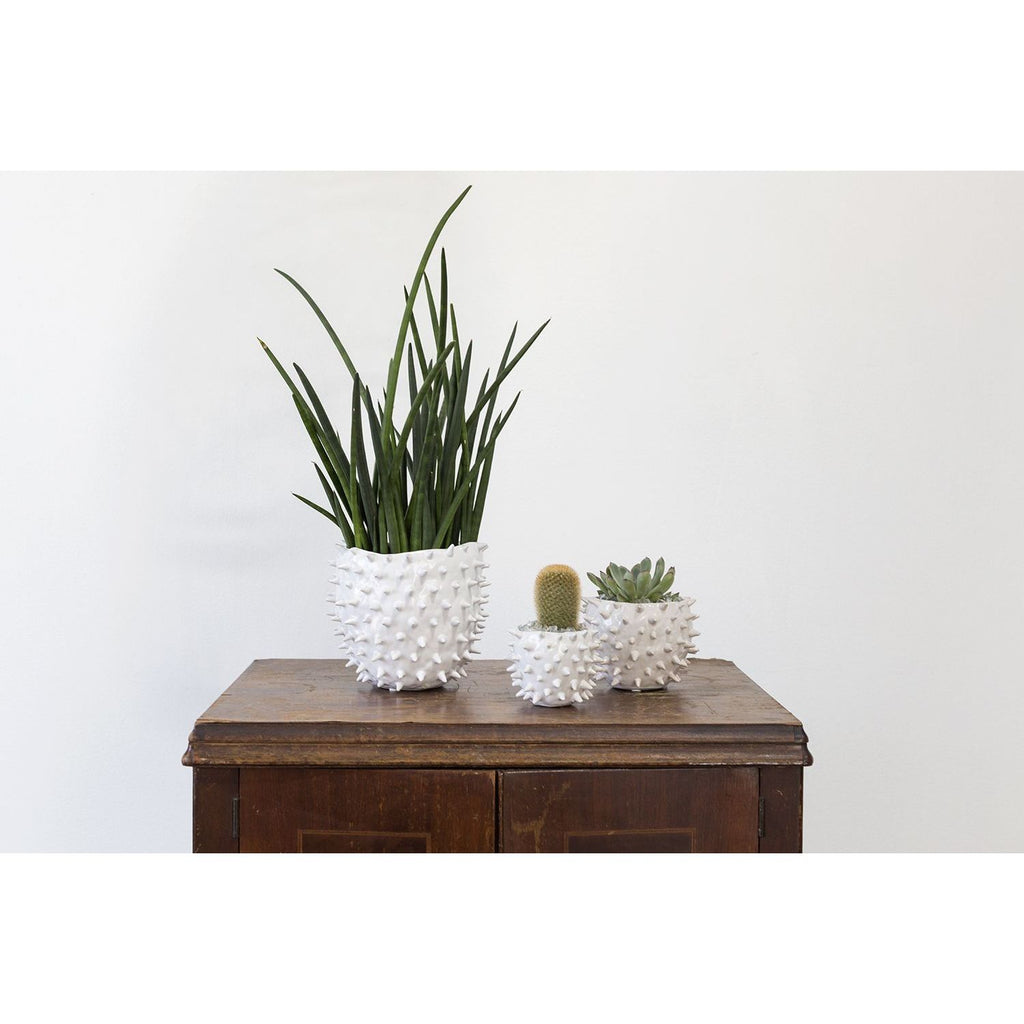 Decorative Objects | Bodega Nantucket